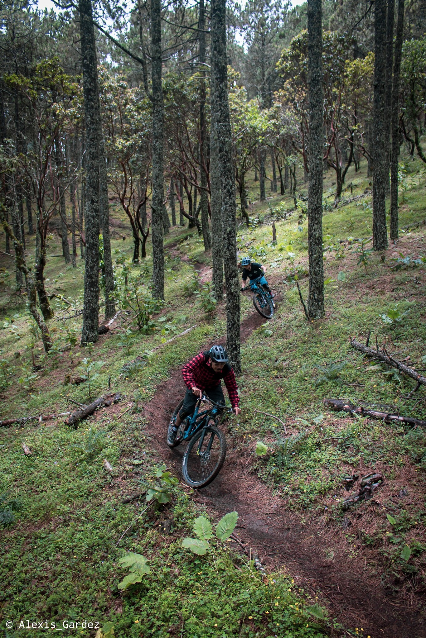 6 DAYS TOURS – OAXACA BIKE EXPEDITIONS